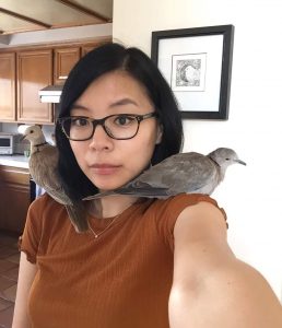 Meet Palomacy's Help Group Moderators