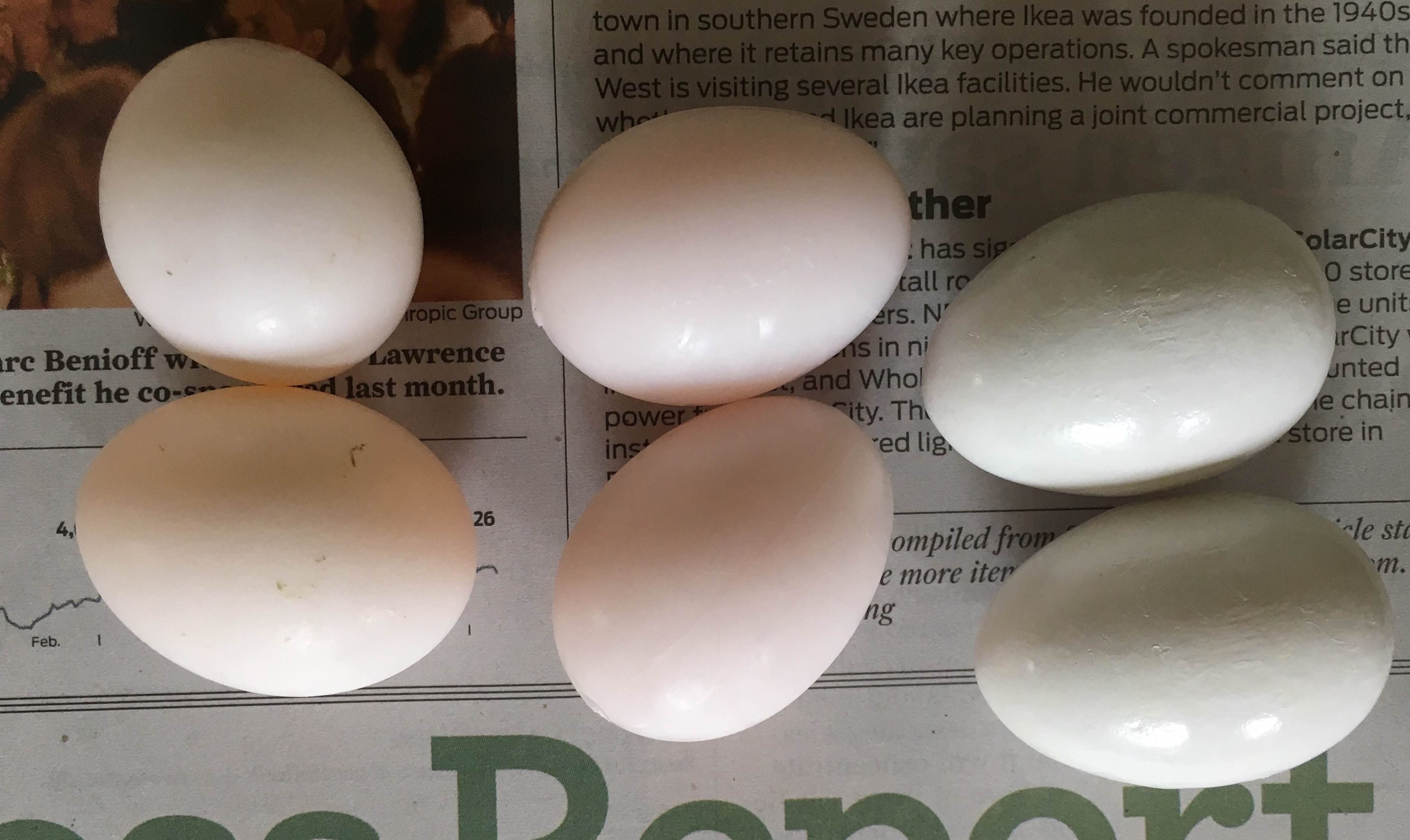 Hatching Training Eggs 4-Piece Set Of Realistic Dove Fake Eggs ...