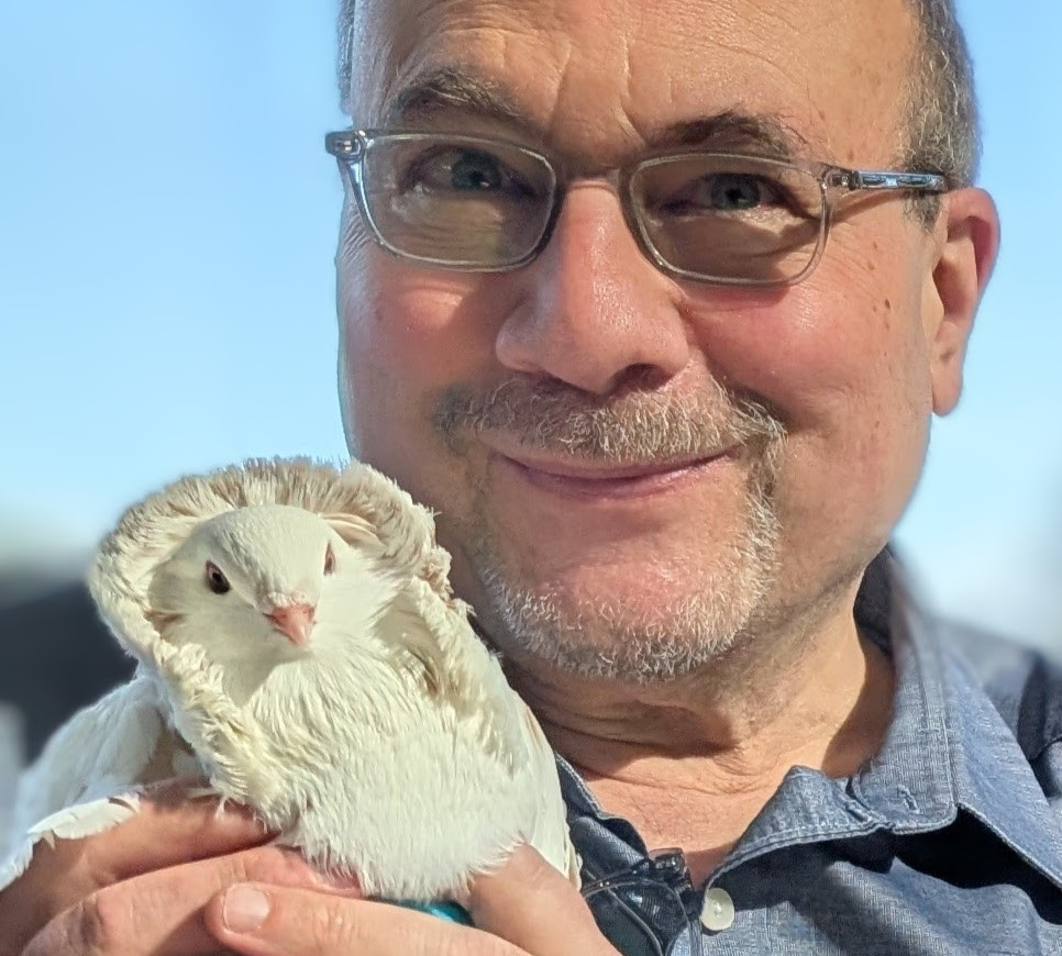 Craig Newmark Is a Pigeon Guy